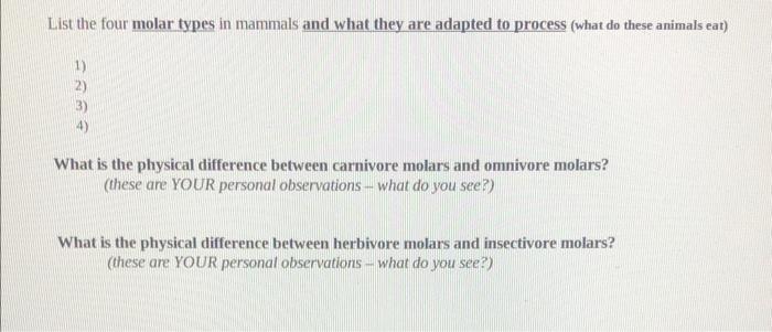 Solved List the four molar types in mammals and what they | Chegg.com
