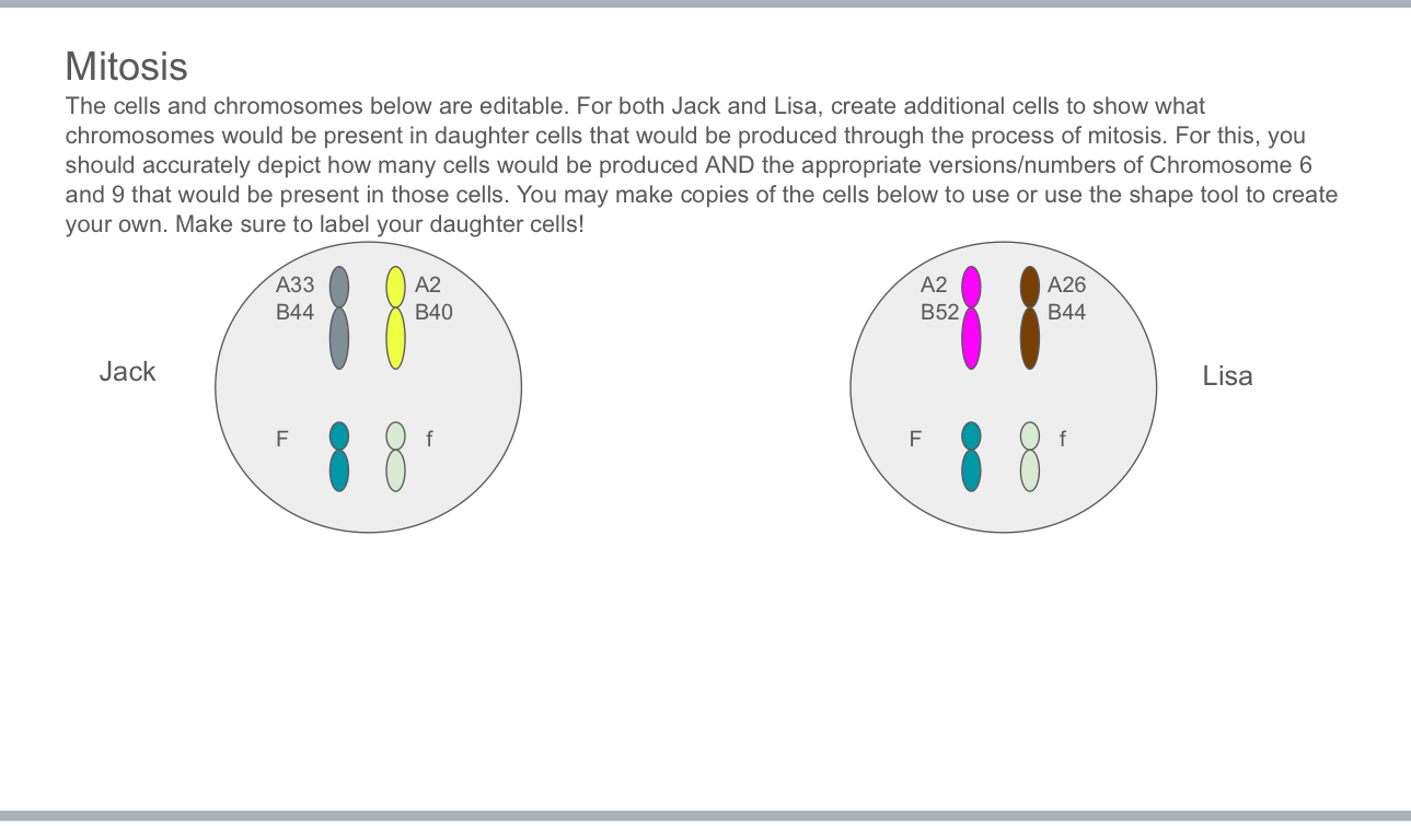 Solved MitosisThe cells and chromosomes below are editable. | Chegg.com