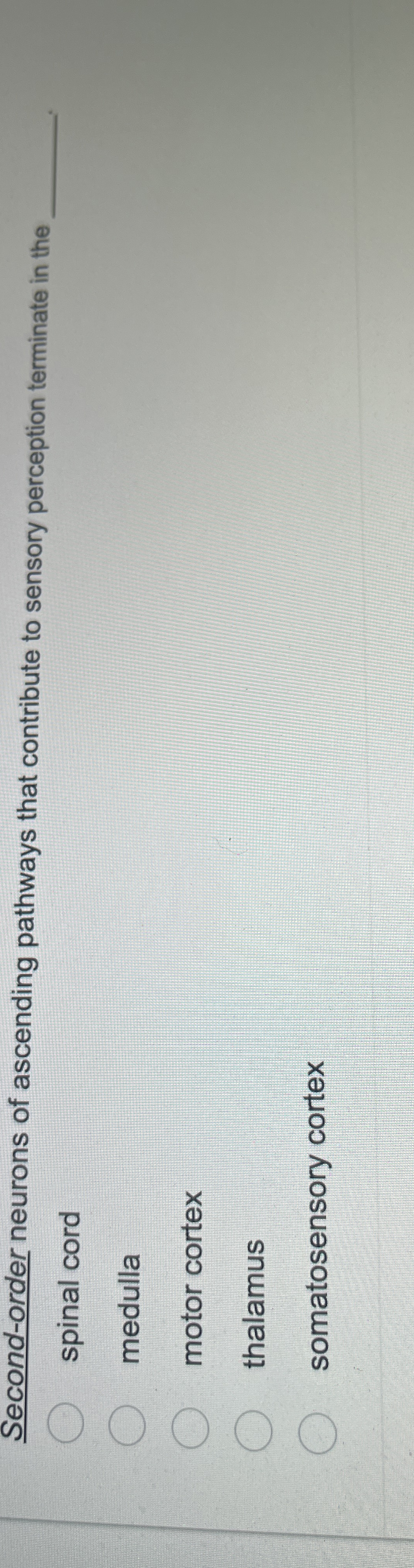 Solved Second-order neurons of ascending pathways that | Chegg.com