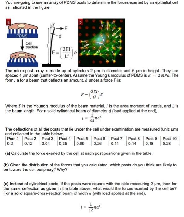 Solved part a please(a) Calculate the force exerted by the | Chegg.com