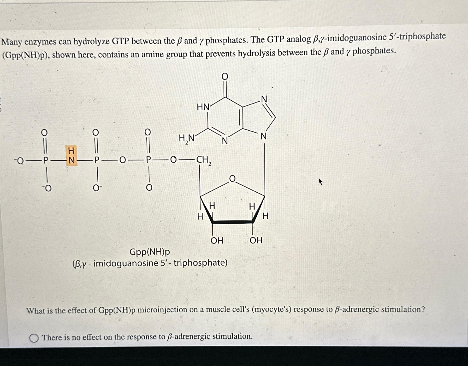 Solved Many enzymes can hydrolyze GTP between the β ﻿and γ | Chegg.com