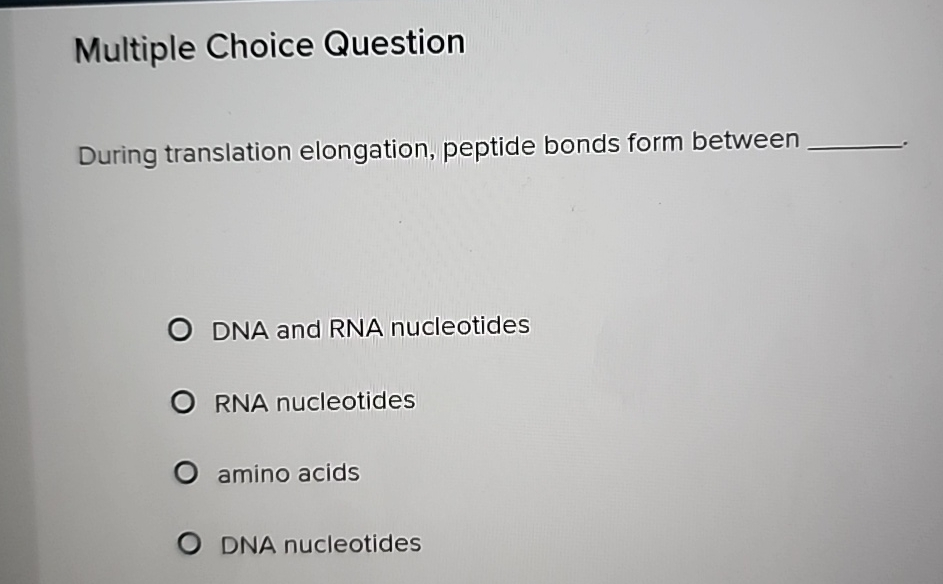 Solved Multiple Choice QuestionDuring translation | Chegg.com