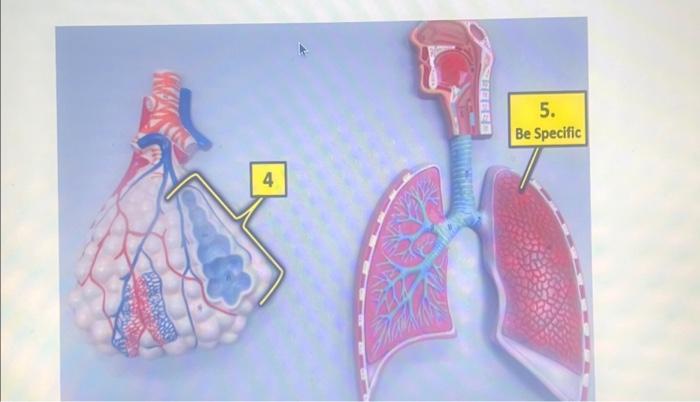 Solved THE 5. Be Specific | Chegg.com