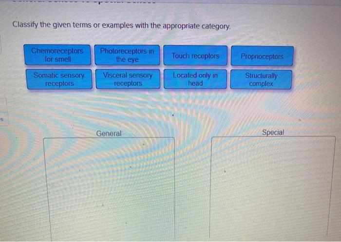 Solved Classify the given terms or examples with the | Chegg.com