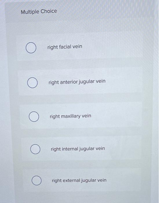 Solved Which structure is highlighted? Multiple Choice | Chegg.com