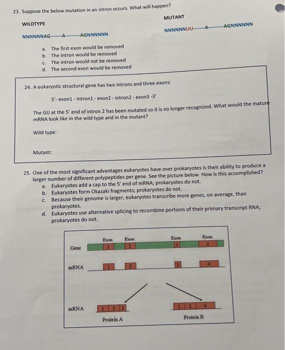 Solved 16. How does a branch point A form during splicing? | Chegg.com