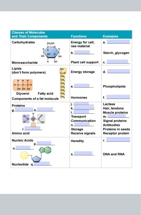 Solved Classes of Molecules and Their Components | Chegg.com