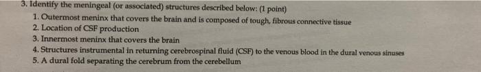 Solved 3. Identify the meningeal (or associated) structures | Chegg.com