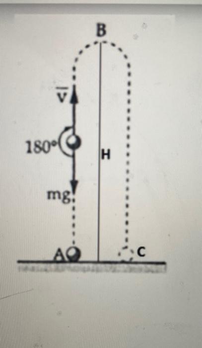 Solved The figure shows a body of mass 5 kg traveling along | Chegg.com