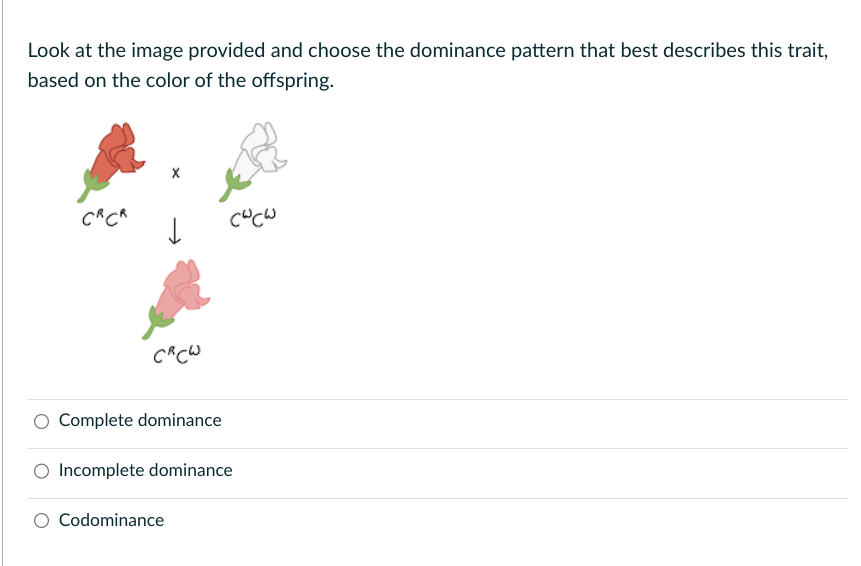 Solved Help solve. Look at the image provided and choose the | Chegg.com