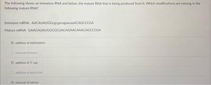Solved The following shows an immature RNA and below, the | Chegg.com