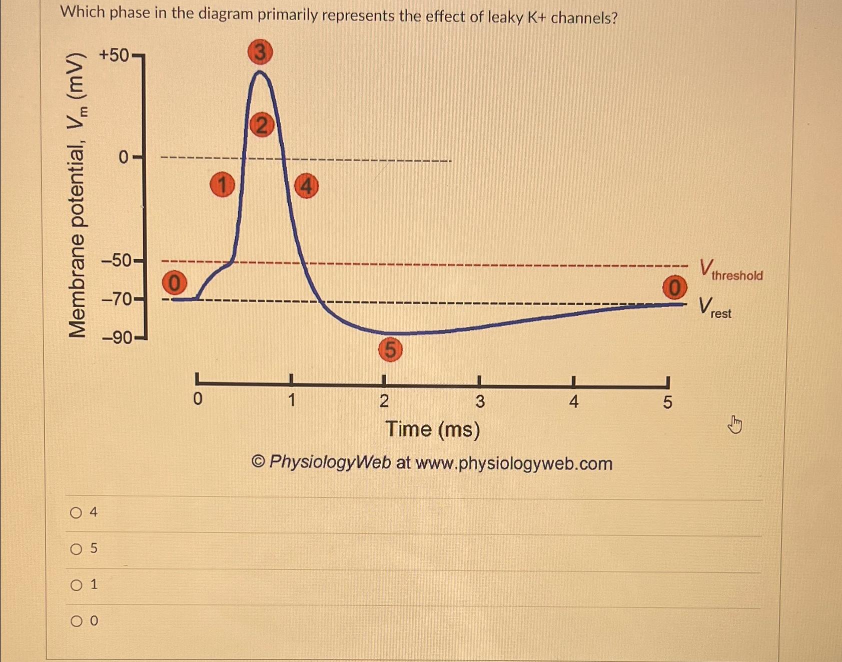 Solved Which phase in the diagram primarily represents the | Chegg.com