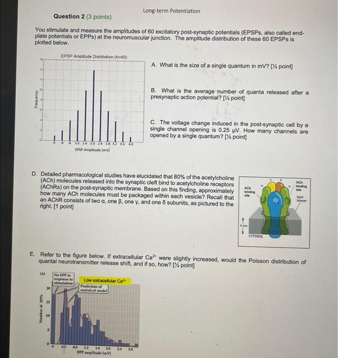 Solved You stimulate and measure the amplitudes of 60 | Chegg.com