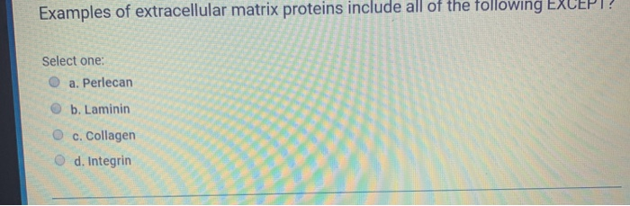 Solved Connections between the ECM and cytoskeleton, | Chegg.com