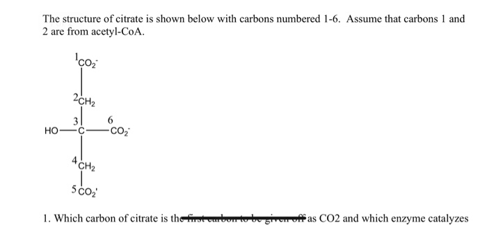 Solved 1. Which carbon of citrate is the first carbon to | Chegg.com