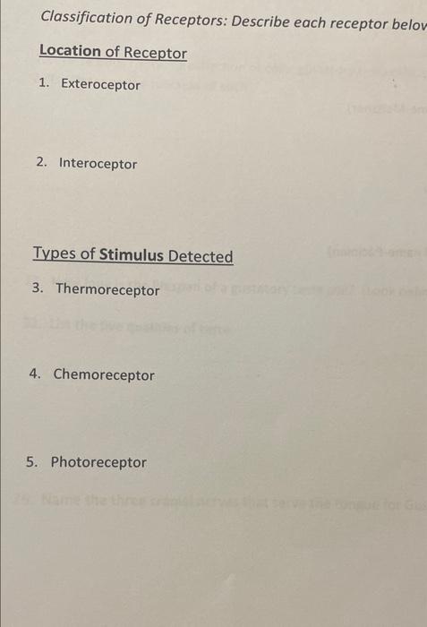 Solved Classification of Receptors: Describe each receptor | Chegg.com