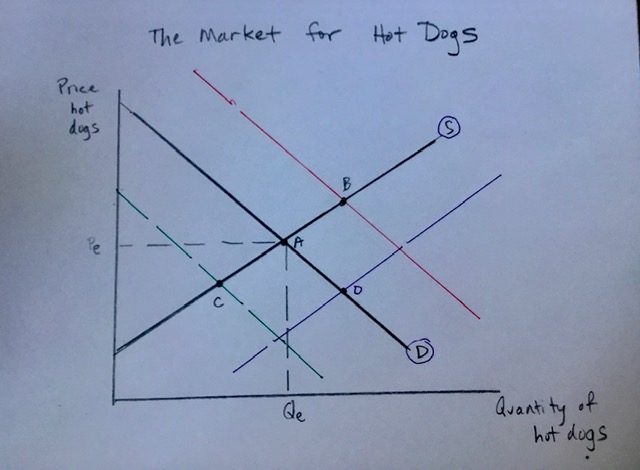 Solved This graph shows the market for hot dogs. For you, | Chegg.com