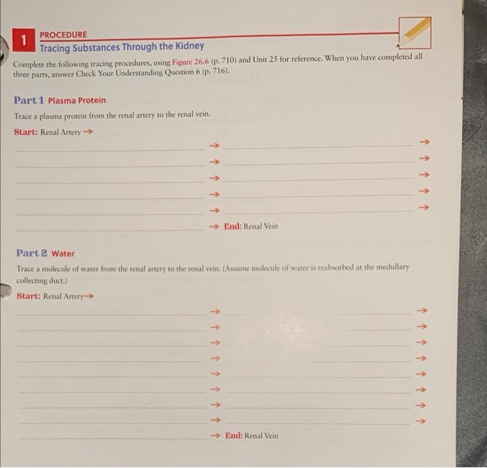 Tracing Substances Through the Kidney Complete the | Chegg.com