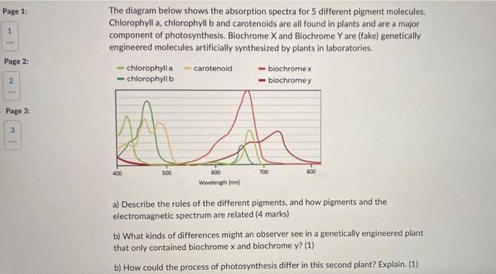 Solved Page 1: The diagram below shows the absorption | Chegg.com