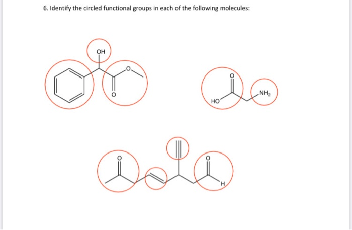 Solved 6. Identify the circled functional groups in each of | Chegg.com
