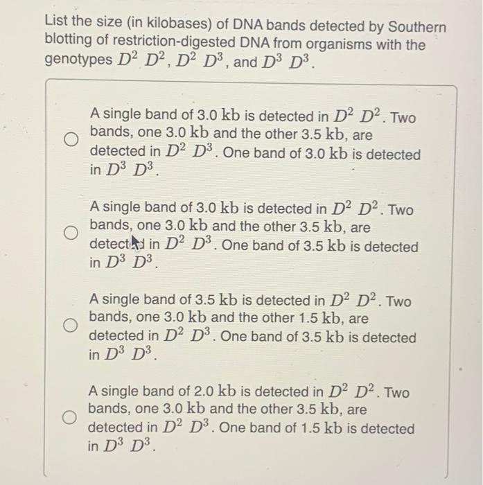 Solved List the size (in kilobases) of DNA bands detected by | Chegg.com
