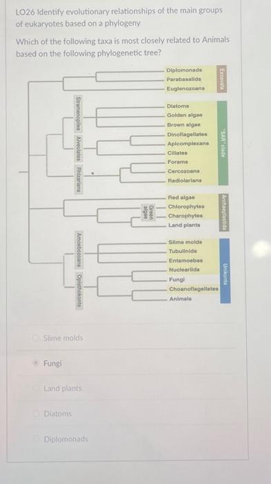 [Solved]: LO26 Identify evolutionary relationships of the ma