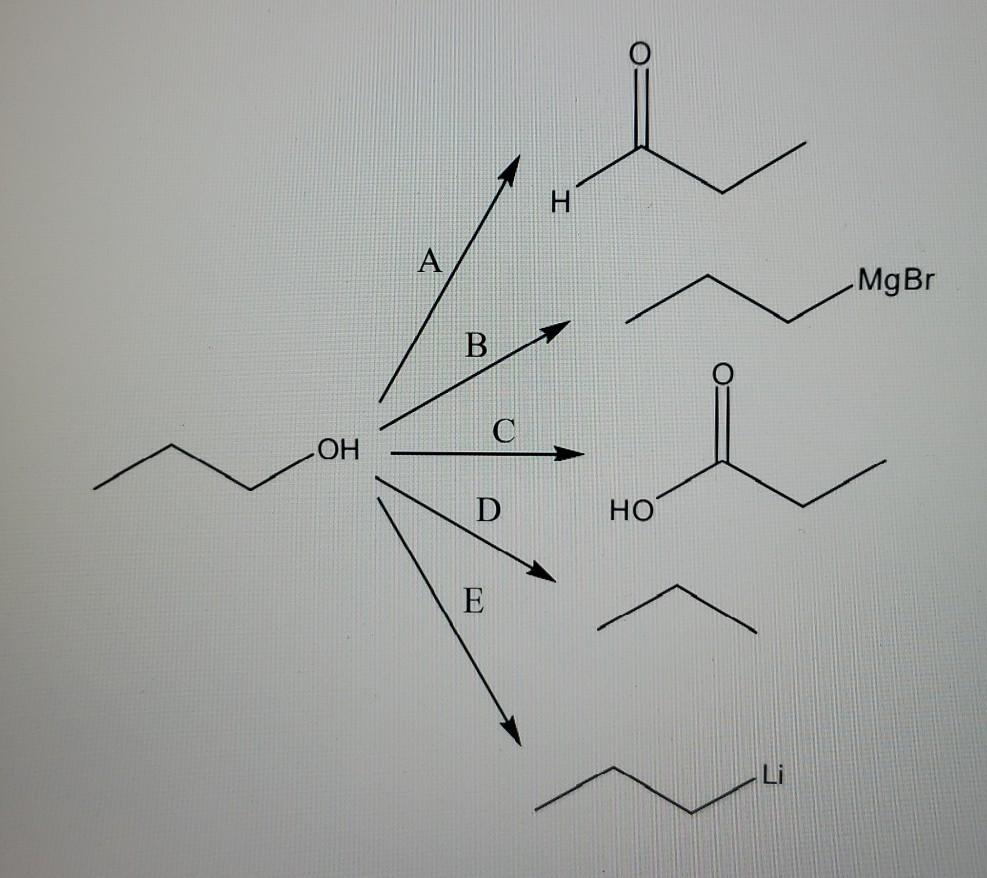 Solved H A MgBr B С ОН D НО E | Chegg.com