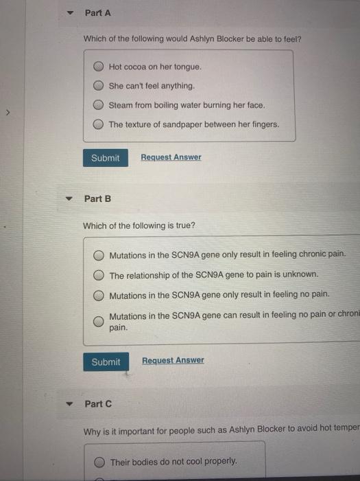 Solved Part A Which of the following would Ashlyn Blocker be | Chegg.com