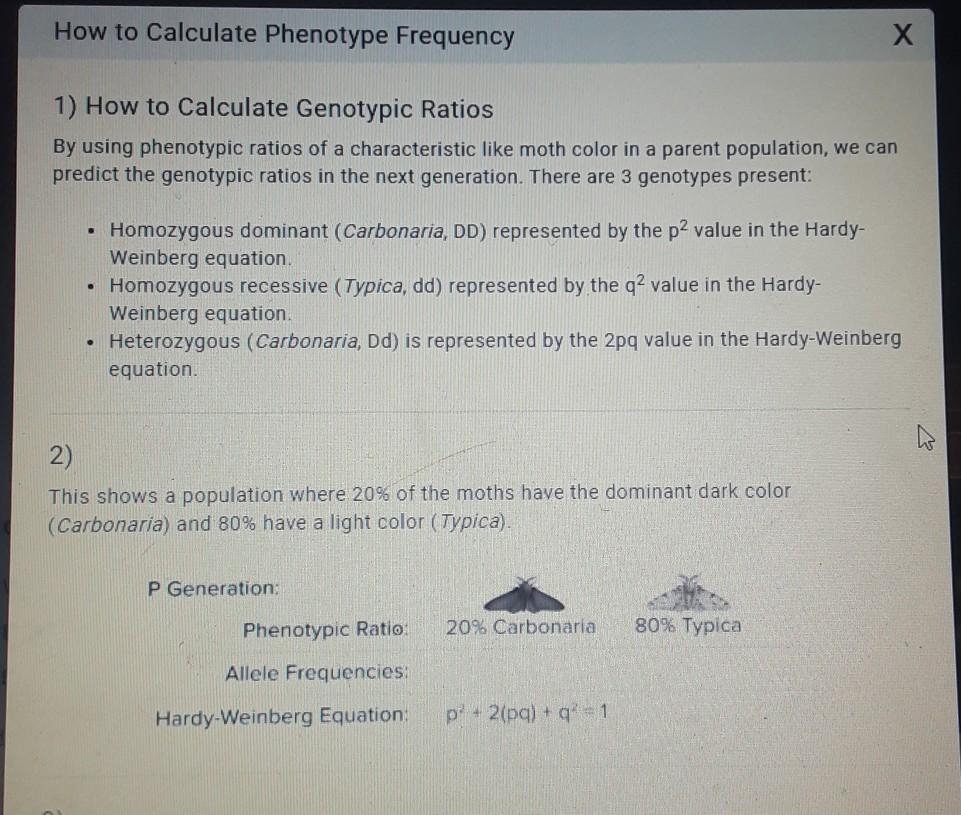 Solved est Complete the following steps: select initial | Chegg.com