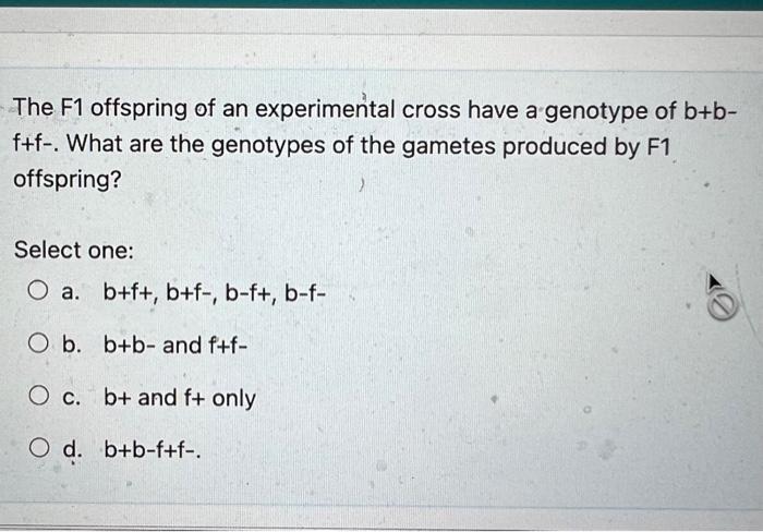 The F1 offspring of an experimental cross have a | Chegg.com