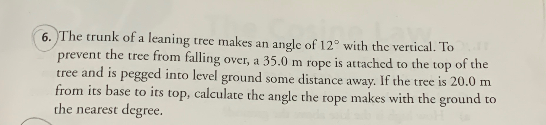 Solved The trunk of a leaning tree makes an angle of 12° | Chegg.com