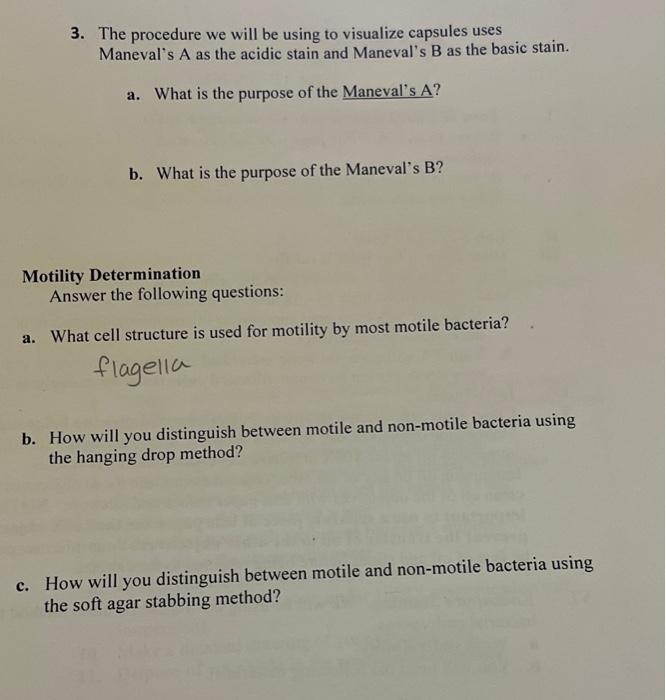 Solved 3. The procedure we will be using to visualize | Chegg.com