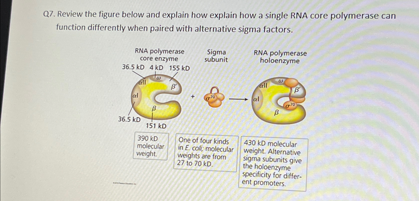 Solved Q7. ﻿Review the figure below and explain how explain | Chegg.com