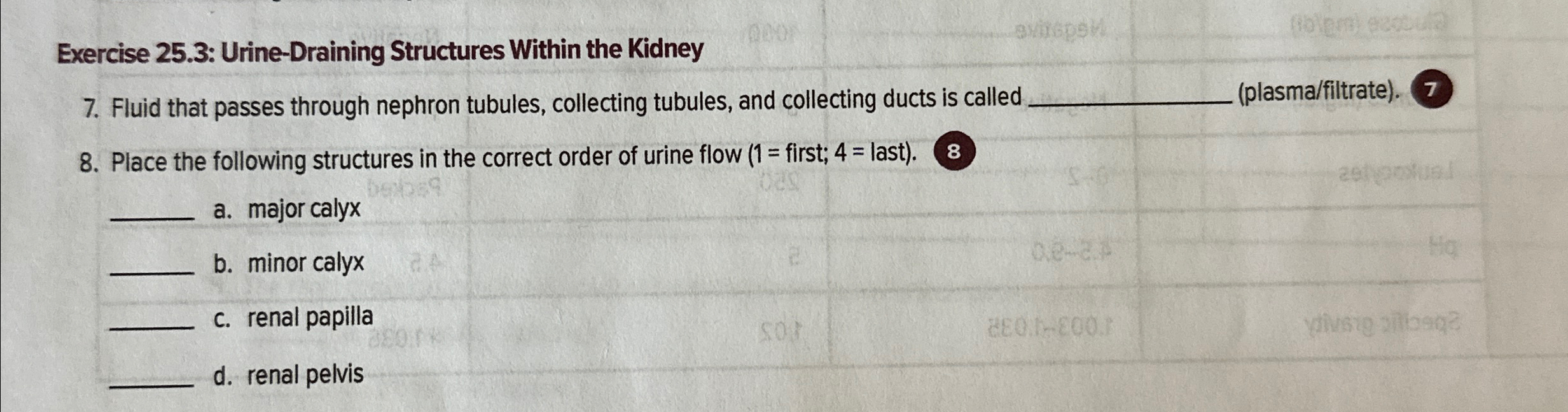 Solved Exercise 25.3: Urine-Draining Structures Within the | Chegg.com