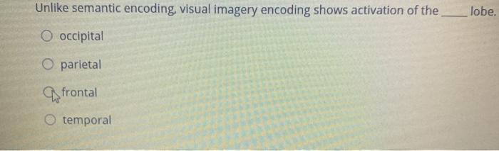 Solved Unlike semantic encoding, visual imagery encoding | Chegg.com