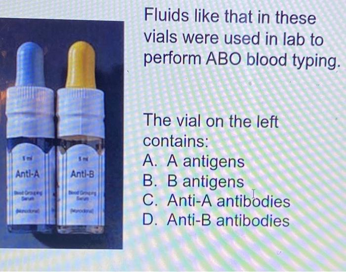 Solved ABO Blood Typing The following slides are photographs | Chegg.com