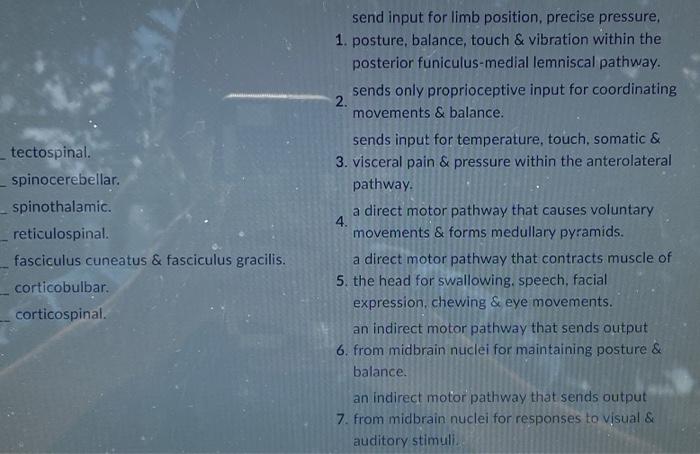 Solved send input for limb position, precise pressure, 1. | Chegg.com