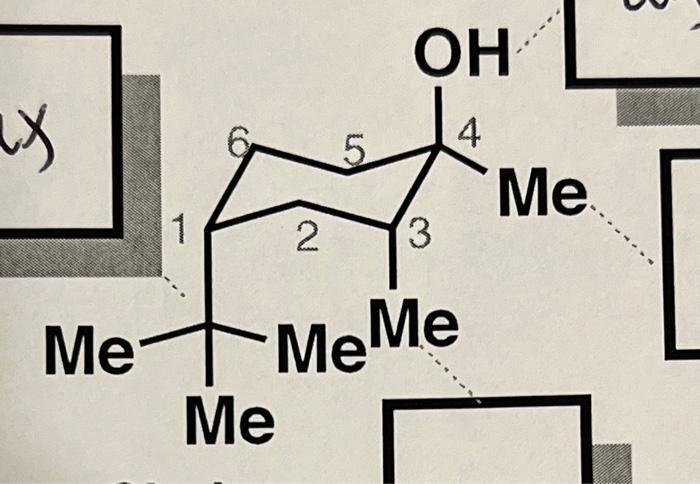 Solved what is the chair flip of this structure and why is | Chegg.com