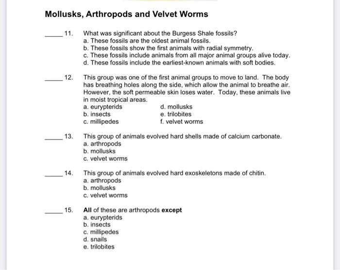 Solved Mollusks, Arthropods and Velvet Worms 11. What was | Chegg.com