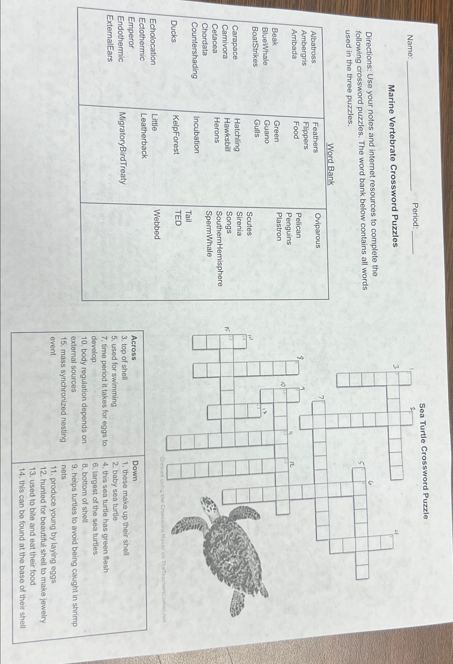Solved Name: q, ﻿Period: q,Marine Vertebrate Crossword | Chegg.com