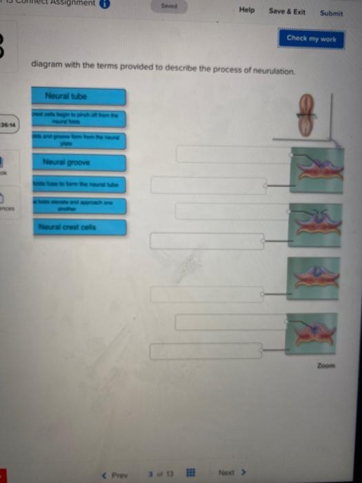 Assignment Help Save & Exit Submit Check my work B | Chegg.com