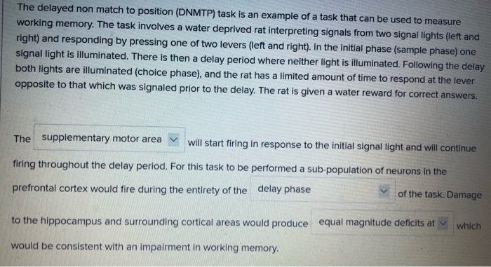 Solved Rodent Delay Non-Match to Position (DNMTP) Task | Chegg.com