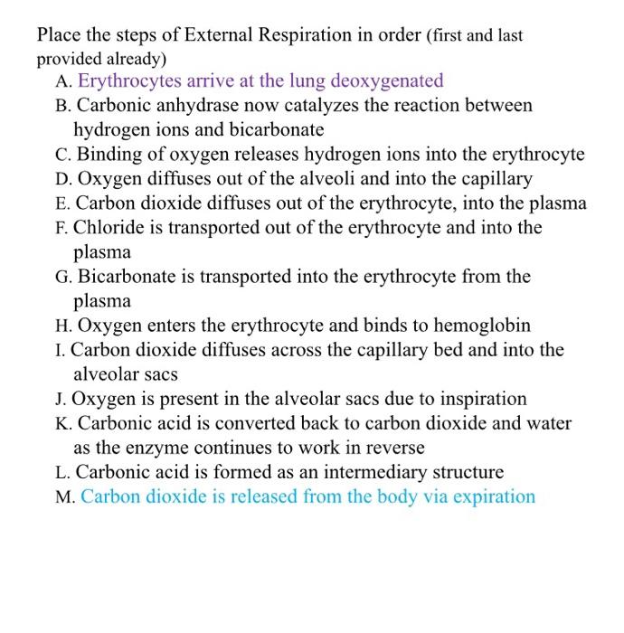 Solved Place the steps of External Respiration in order | Chegg.com