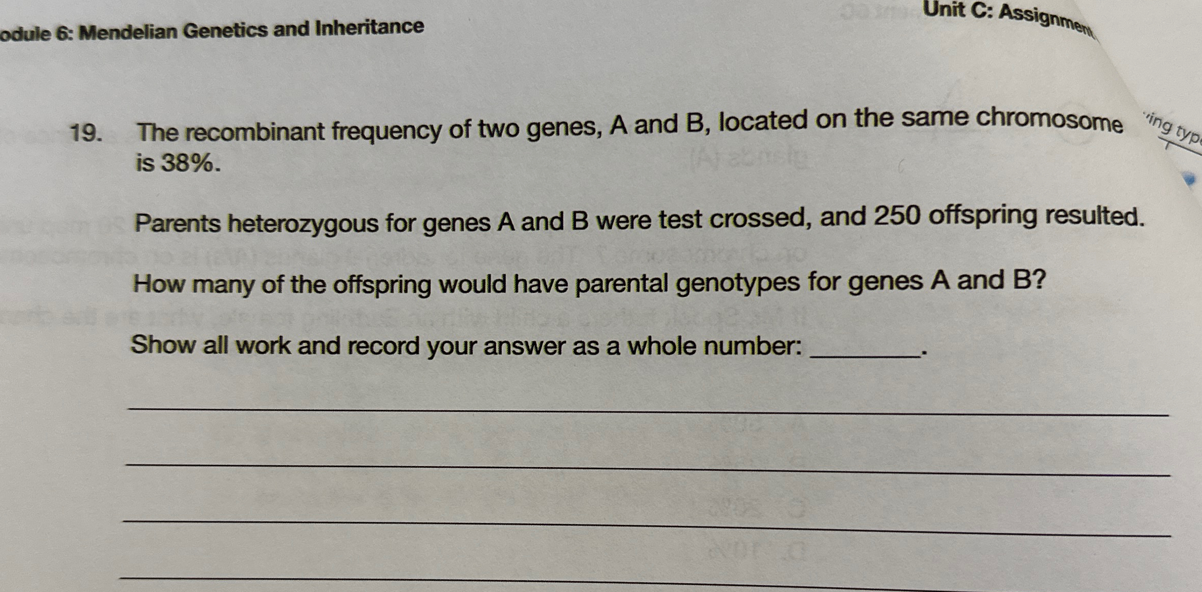 Solved odule 6: Mendelian Genetics and InheritanceUnit C: | Chegg.com