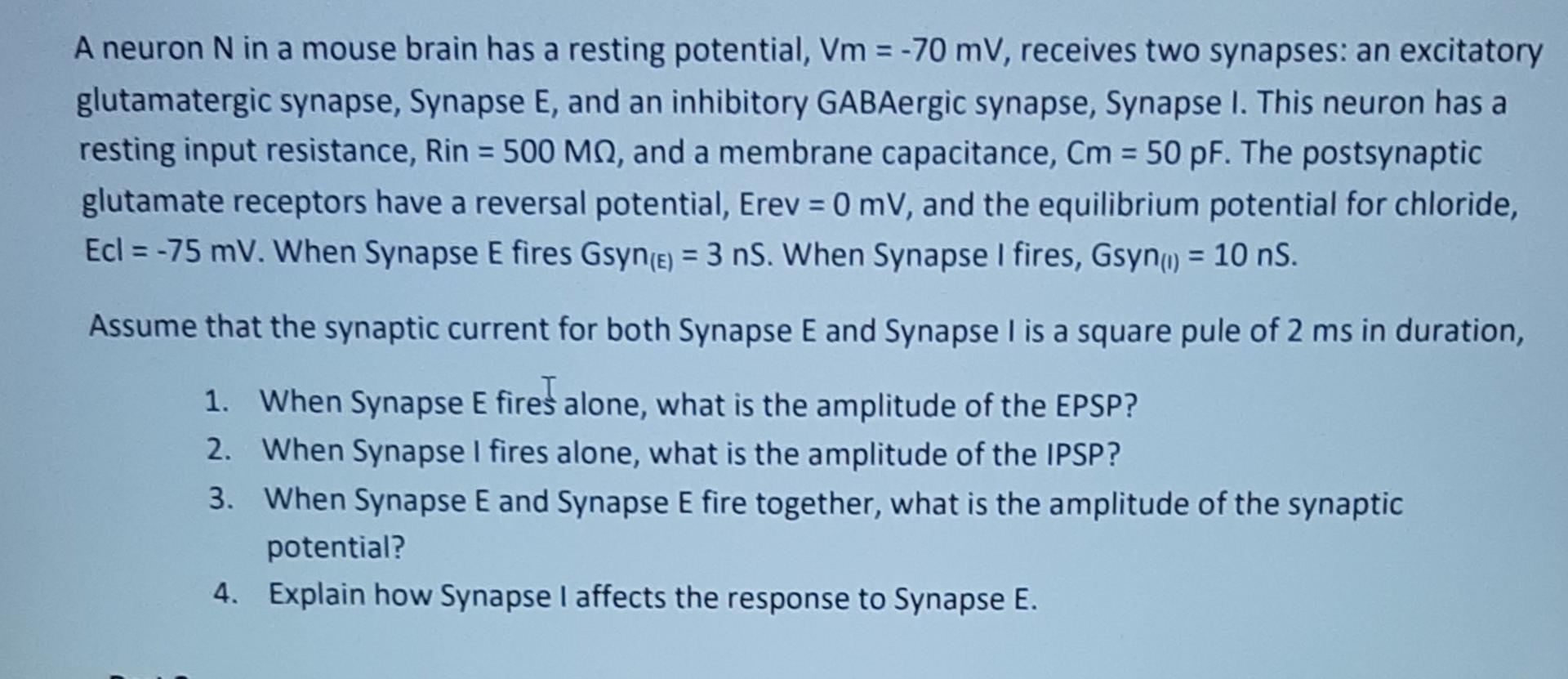Solved For question 2, there is a correction, "when Synapse | Chegg.com