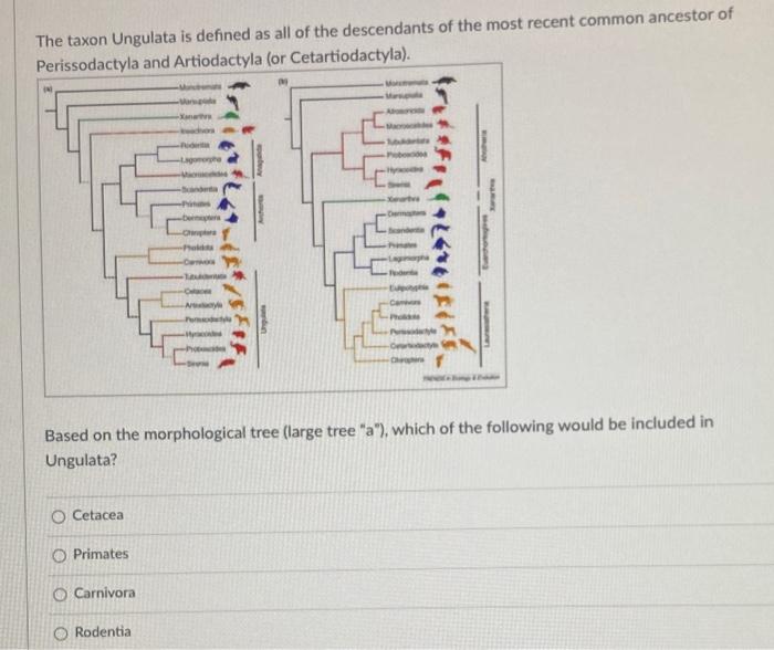 The taxon Ungulata is defined as all of the | Chegg.com