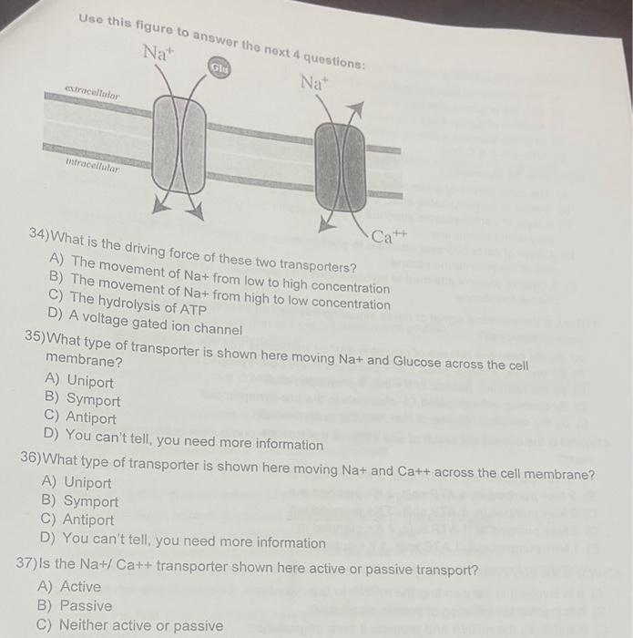 Solved Use this figure to answa... A) The movement of the of | Chegg.com