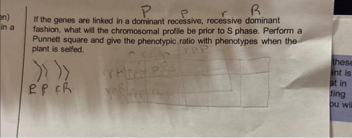 Solved If the genes are linked in a dominant recessive, | Chegg.com