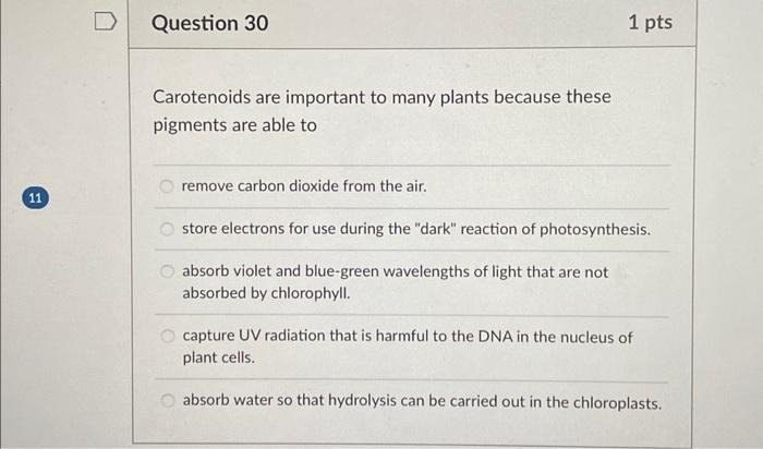 Solved Carotenoids are important to many plants because | Chegg.com