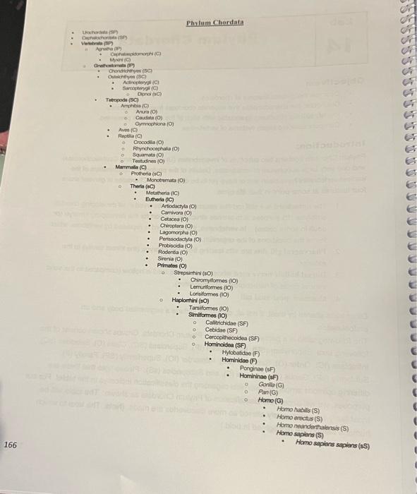 Solved 7. Using your textbook, lab manual (pg. 166), and | Chegg.com